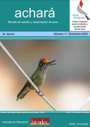 achara 11122024 - Aves Uruguay